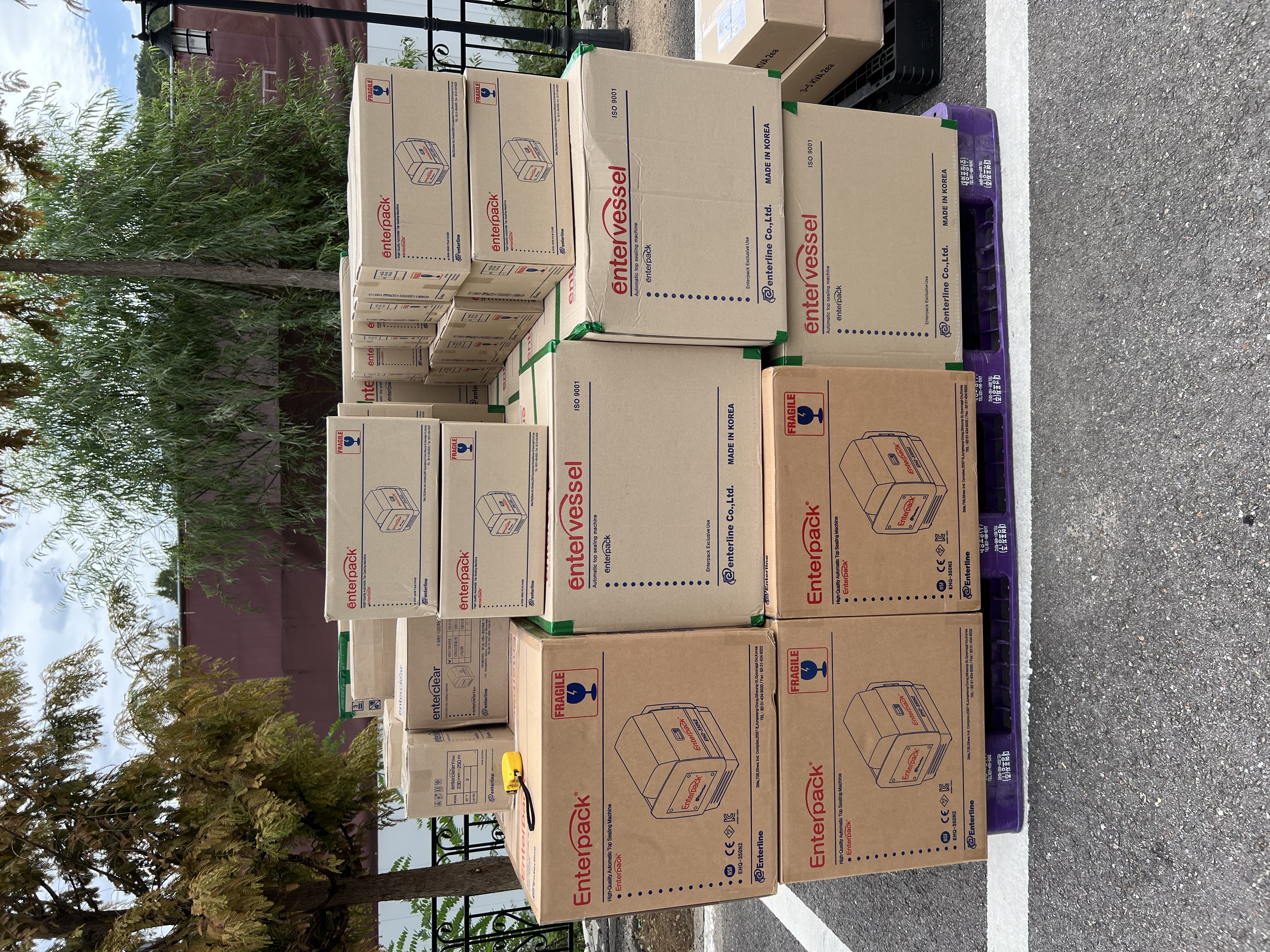 PSW-19156 / Rectangular Tray / ENTERPACK (ENTERLINE)